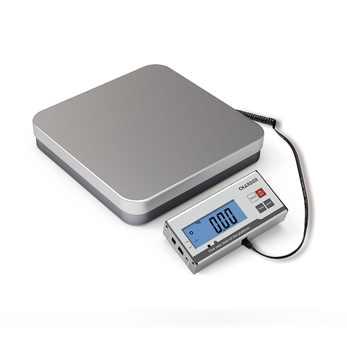R260 Shipping & Receiving Scale | Stainless Steel Construction ...